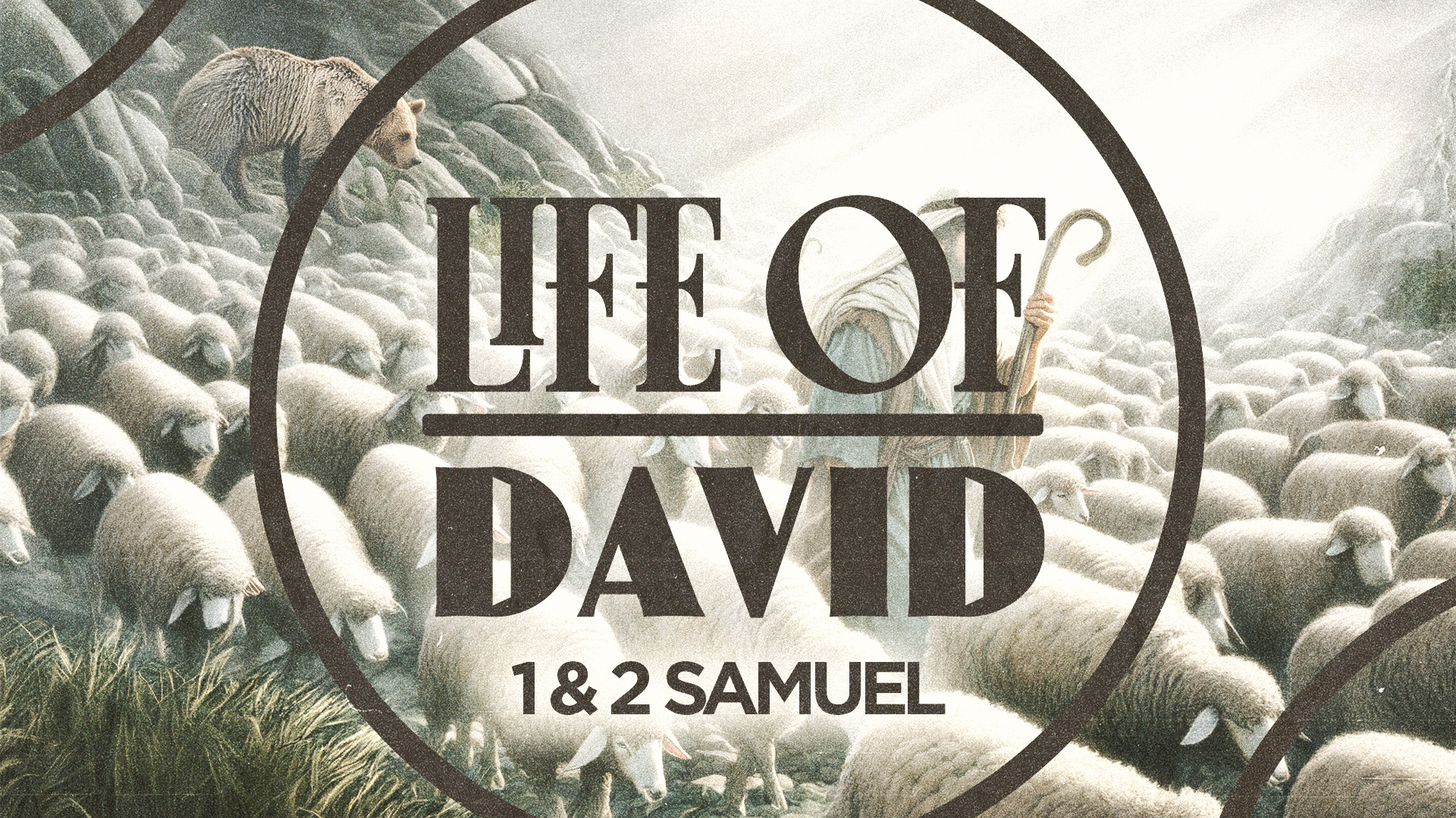The Life of David - Winder : Winder